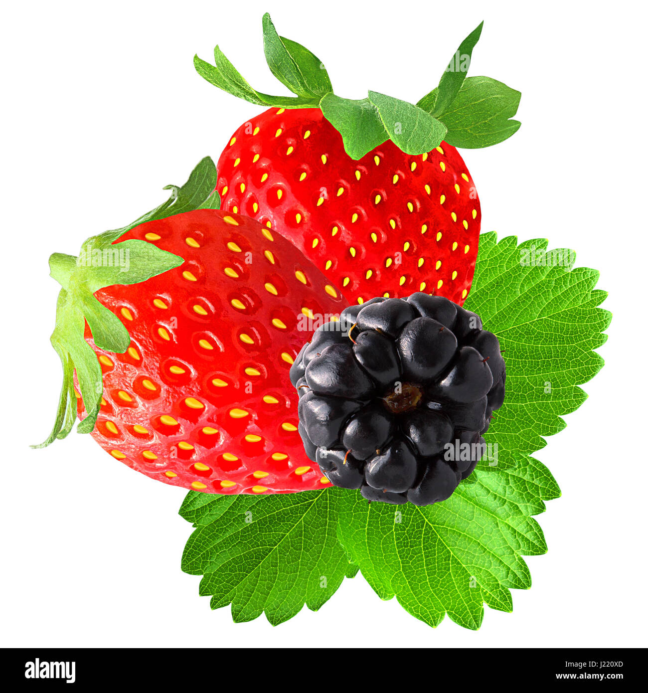 Isolated fruits. Two strawberry and blackberry with leaf isolated on ...
