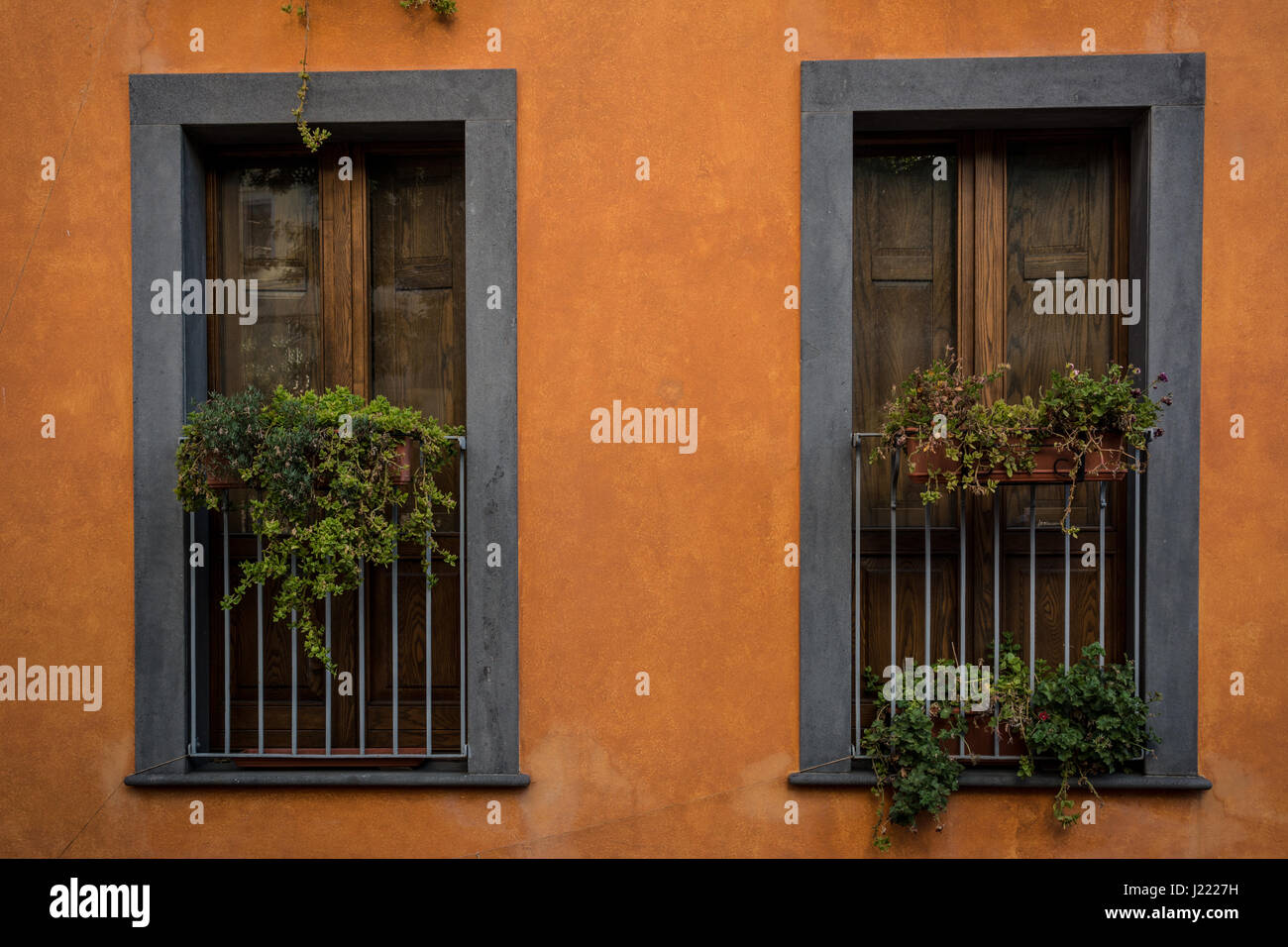Beautiful windows of an orange house with typical wooden doors ...