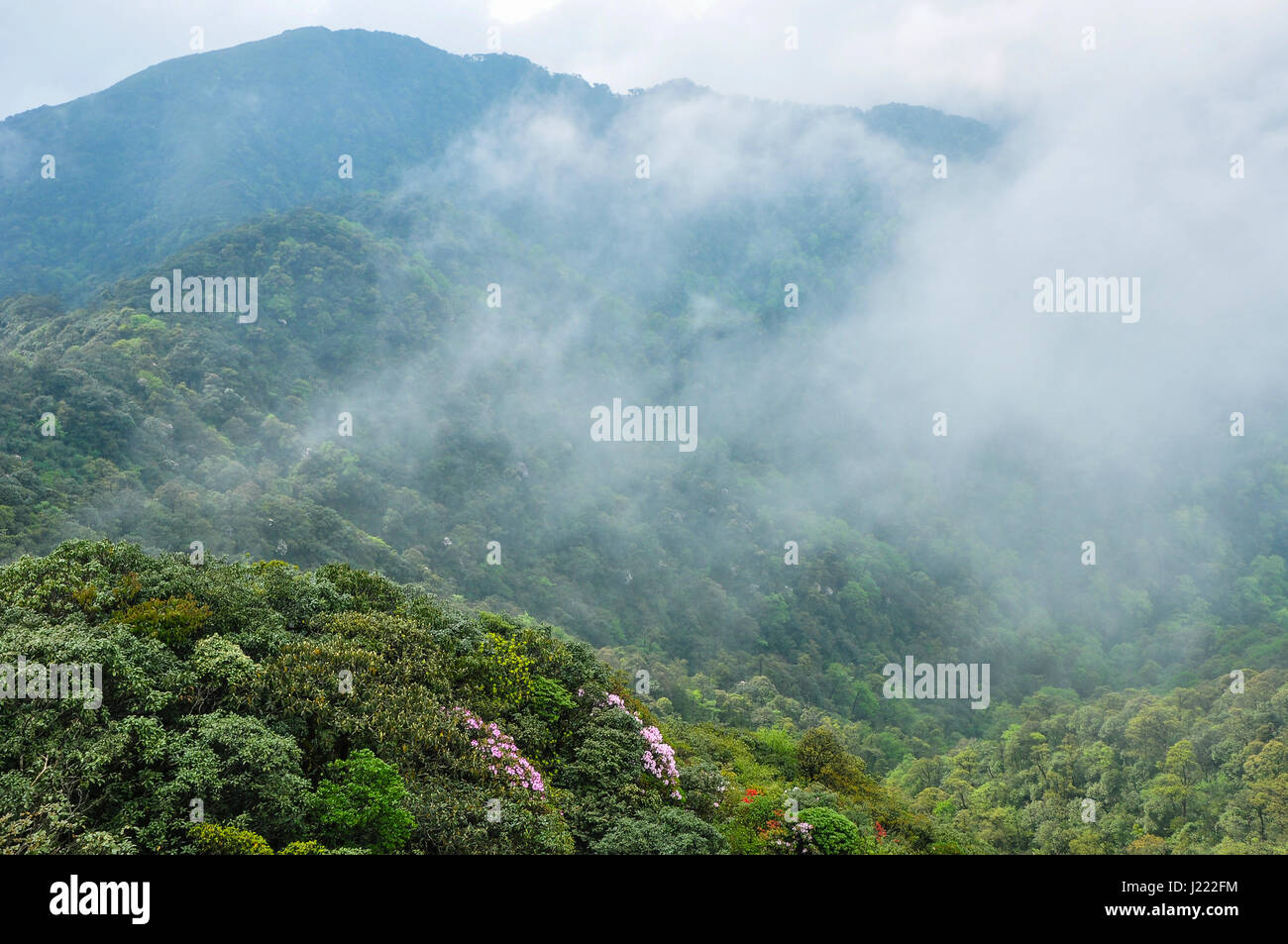 Mountains scenery in the mist Stock Photo - Alamy
