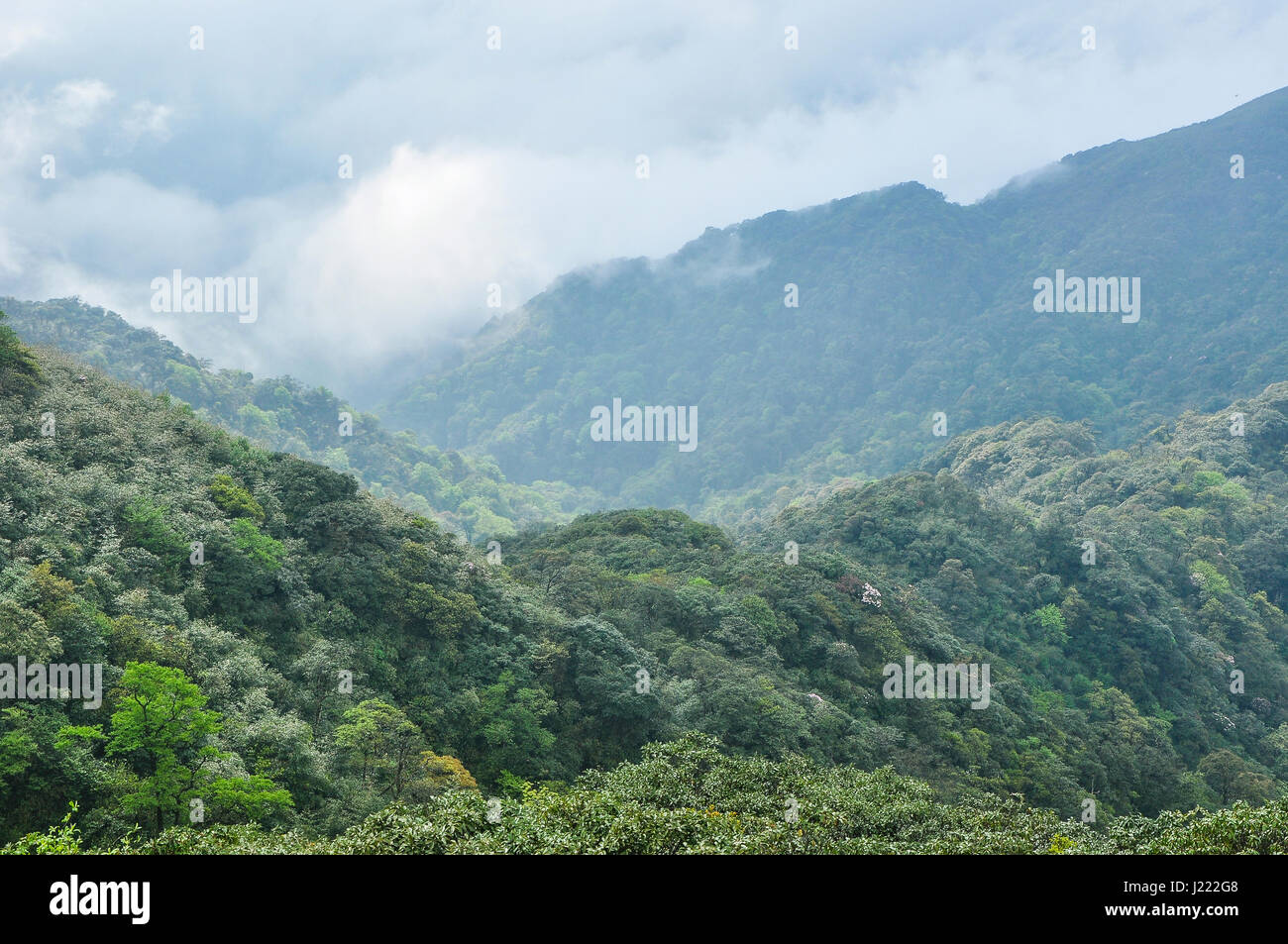 Mountains of the mist hi-res stock photography and images - Alamy