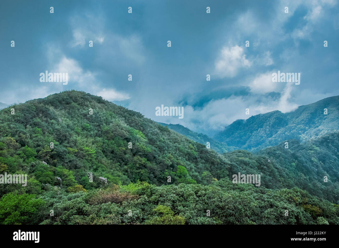 Mountains scenery in the mist Stock Photo - Alamy