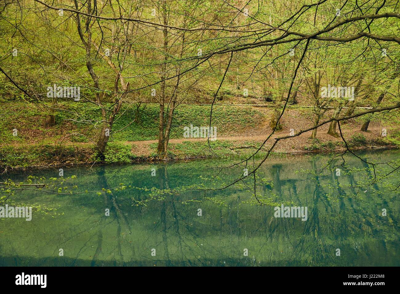 Small lake with trees Stock Photo - Alamy