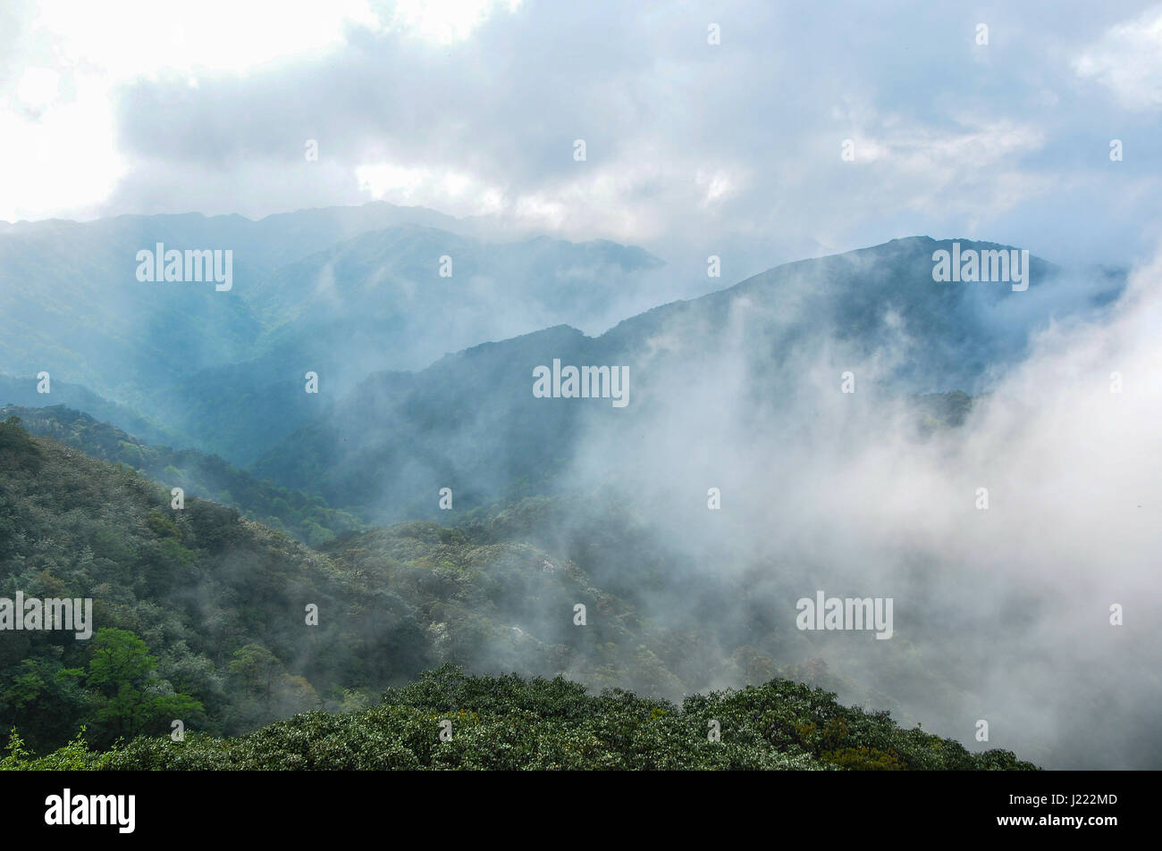 Nature scenery hi-res stock photography and images - Alamy