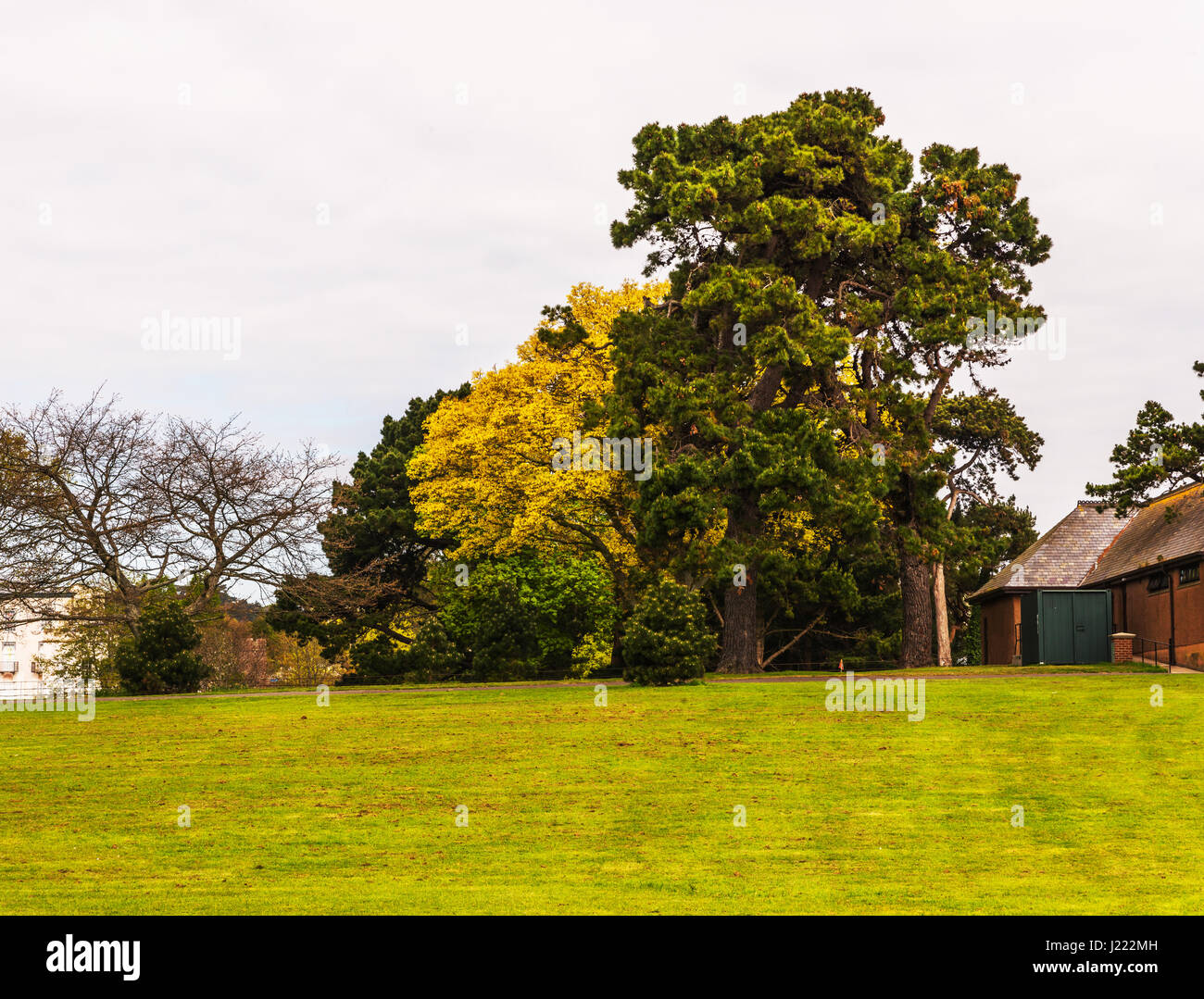 Beautiful park in the city, high and expansive trees, large space ...