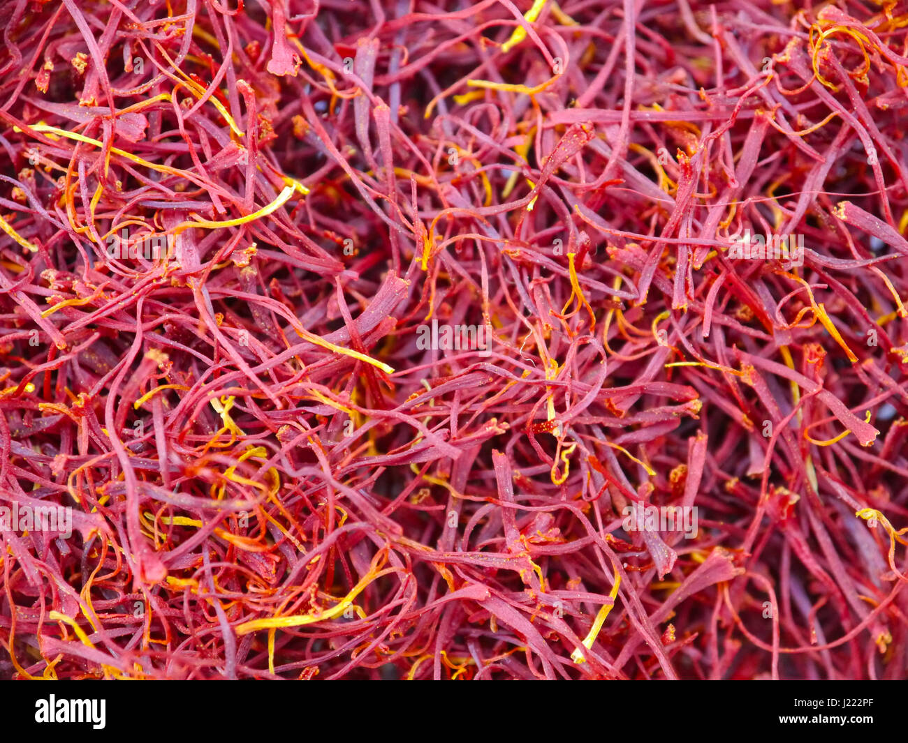 A Close up of the red spice Saffron, derived from the Crocus sativus ...