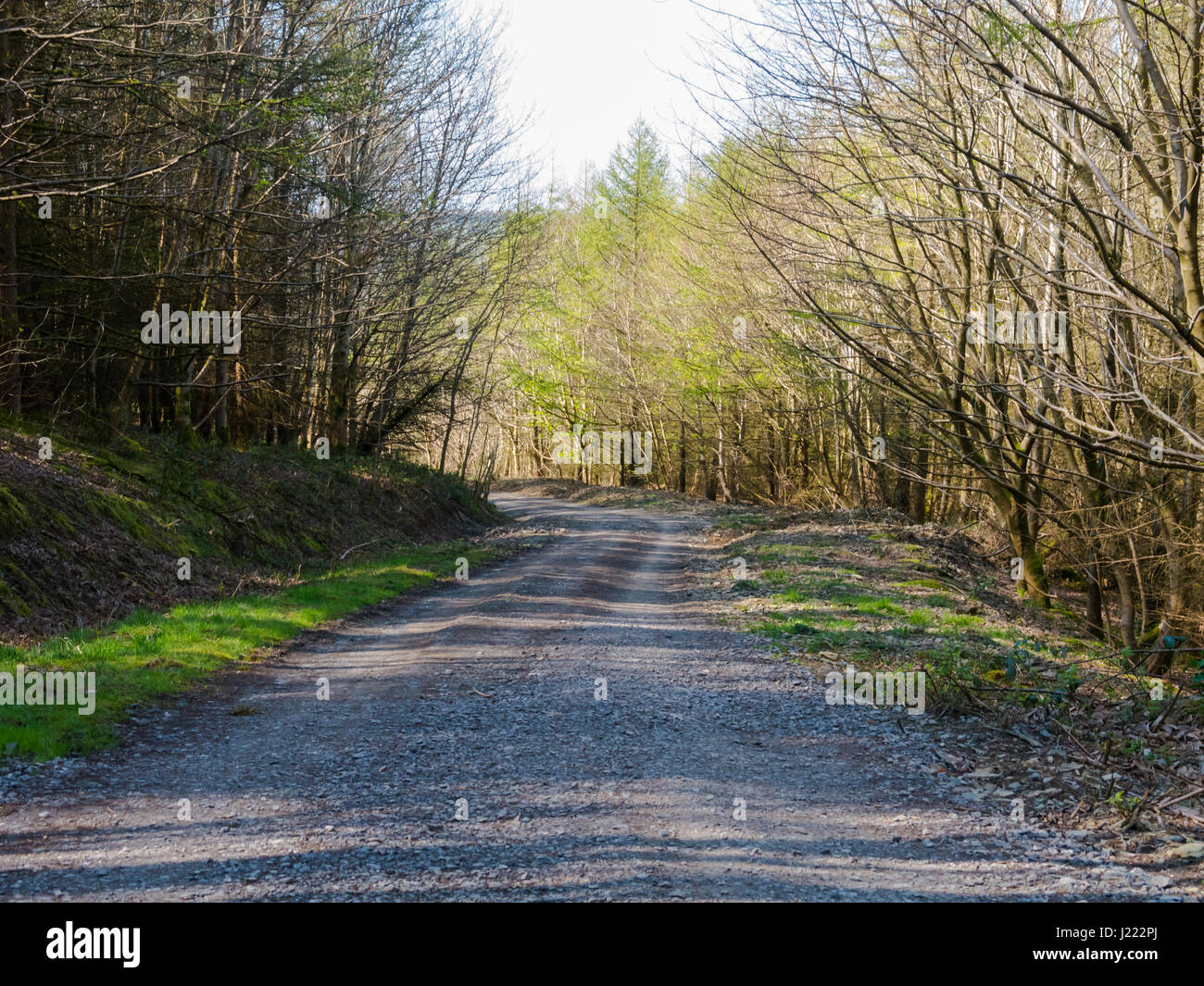The path at the bottom of Dent fell on the Coast to Coast walking route ...
