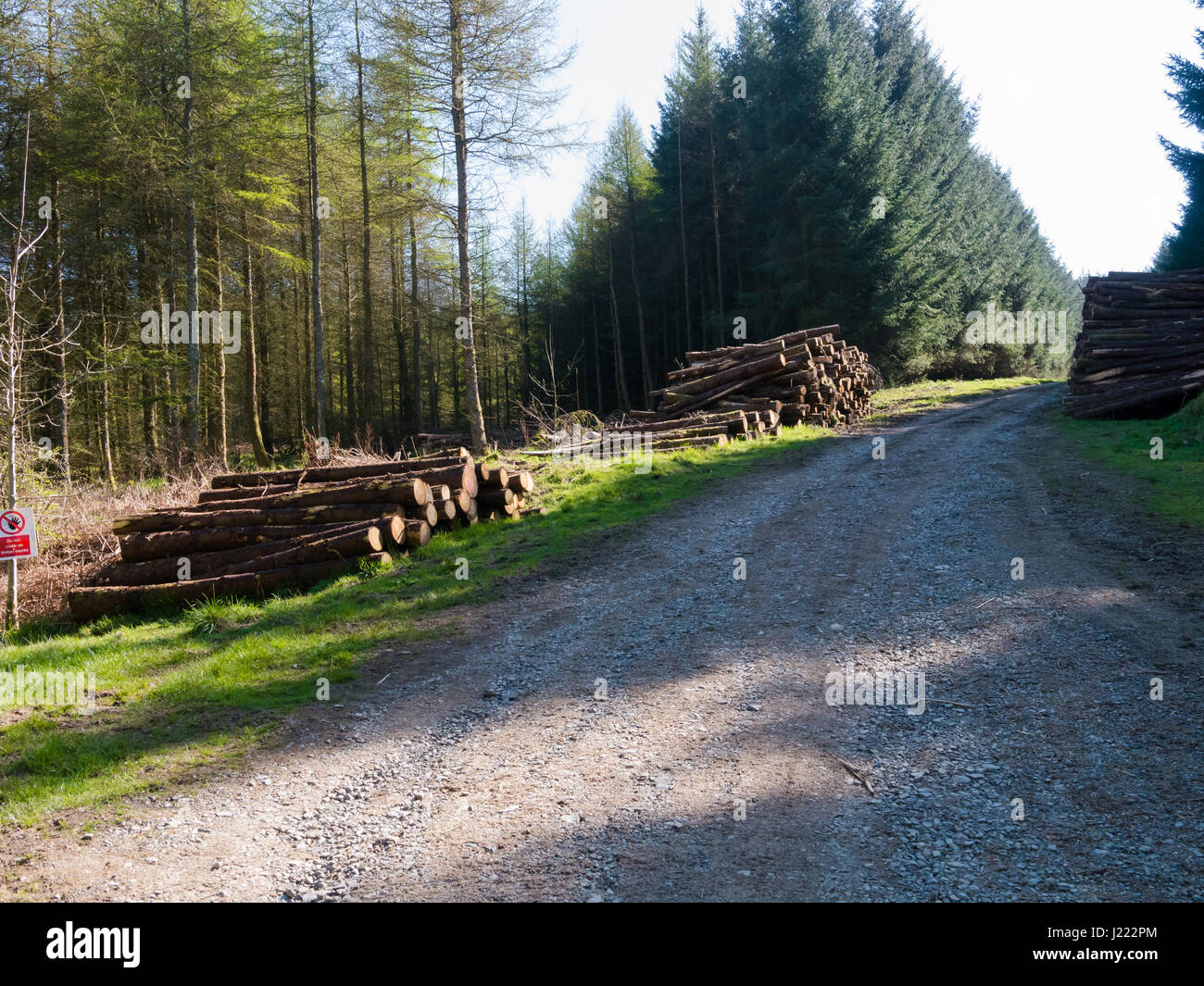 The path to the top of Dent fell on the Coast to Coast walking route ...