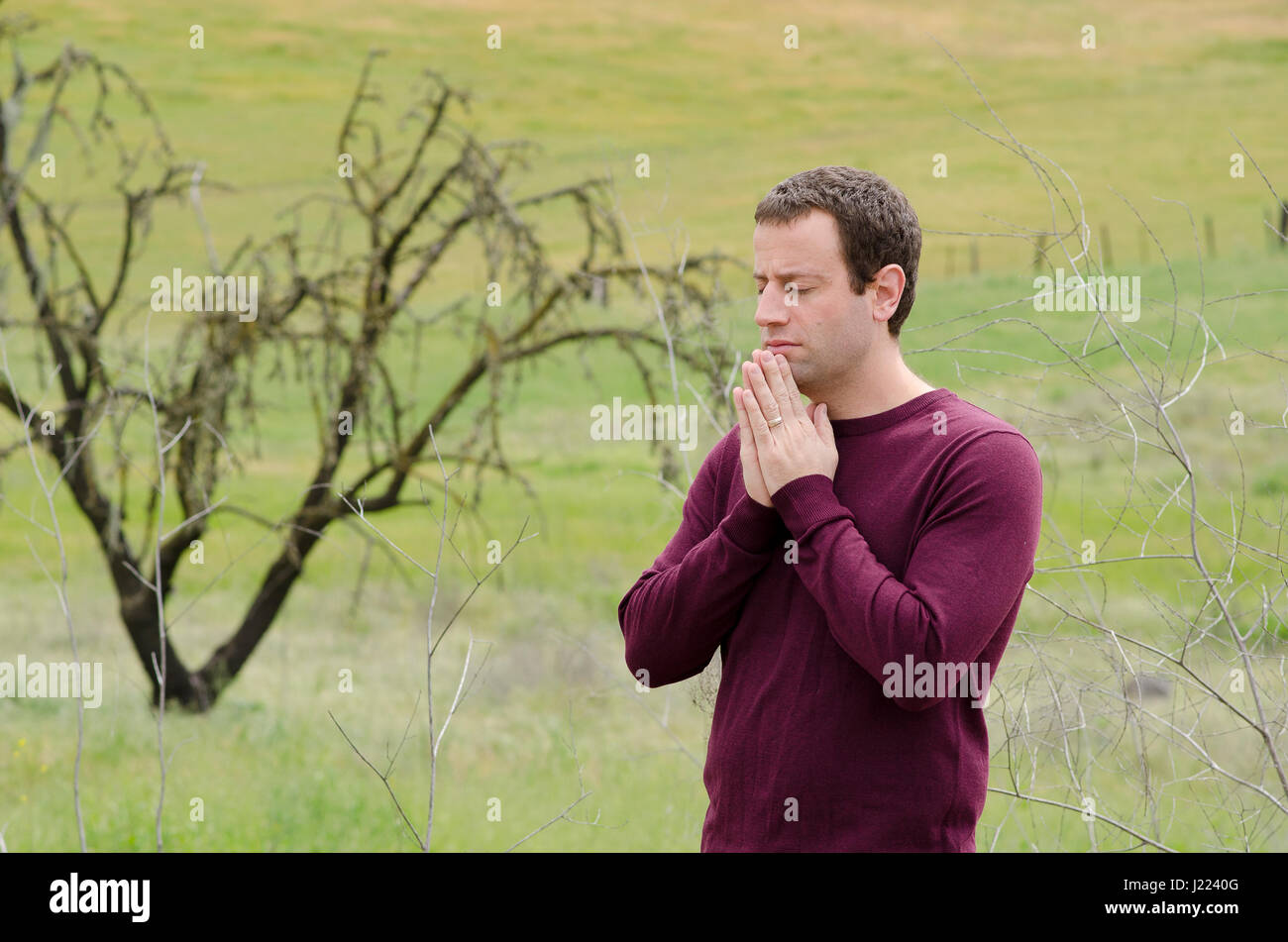 Man praying outside in an empty field with a bare tree in the ...