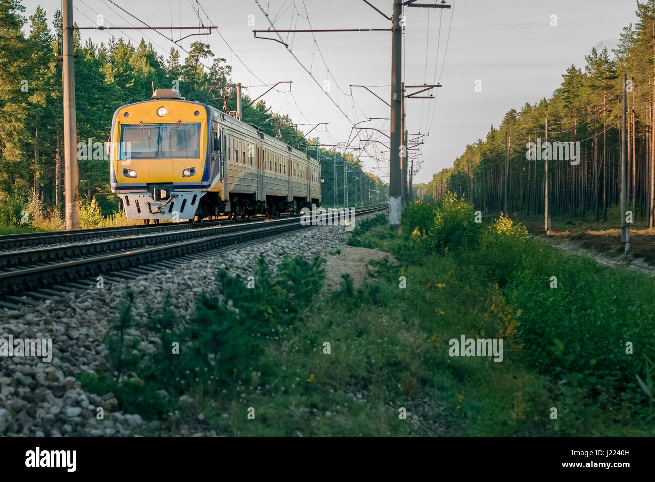 Passenger train moving through forest hi-res stock photography and ...
