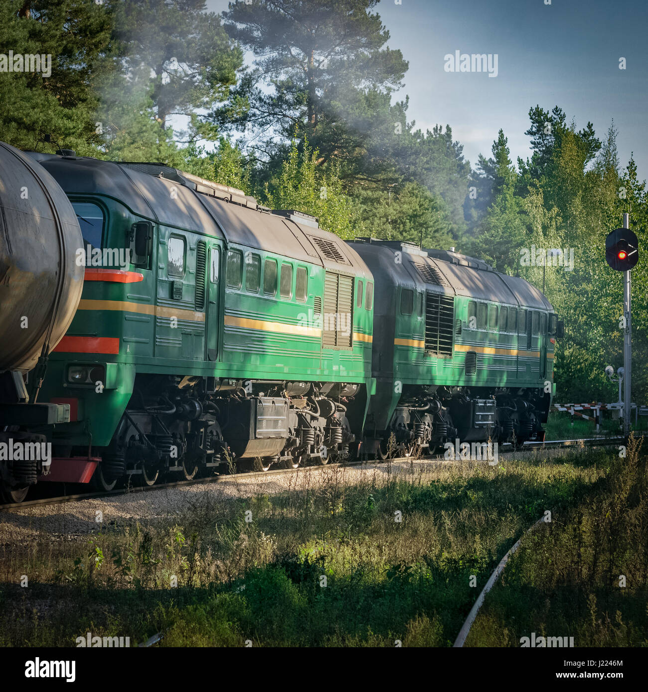 Freight train with tank wagons in forest. Green cargo locomotive Stock ...