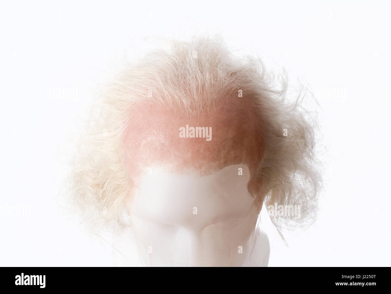 Mannequin Male Head with Bald Wig on White Stock Photo - Alamy