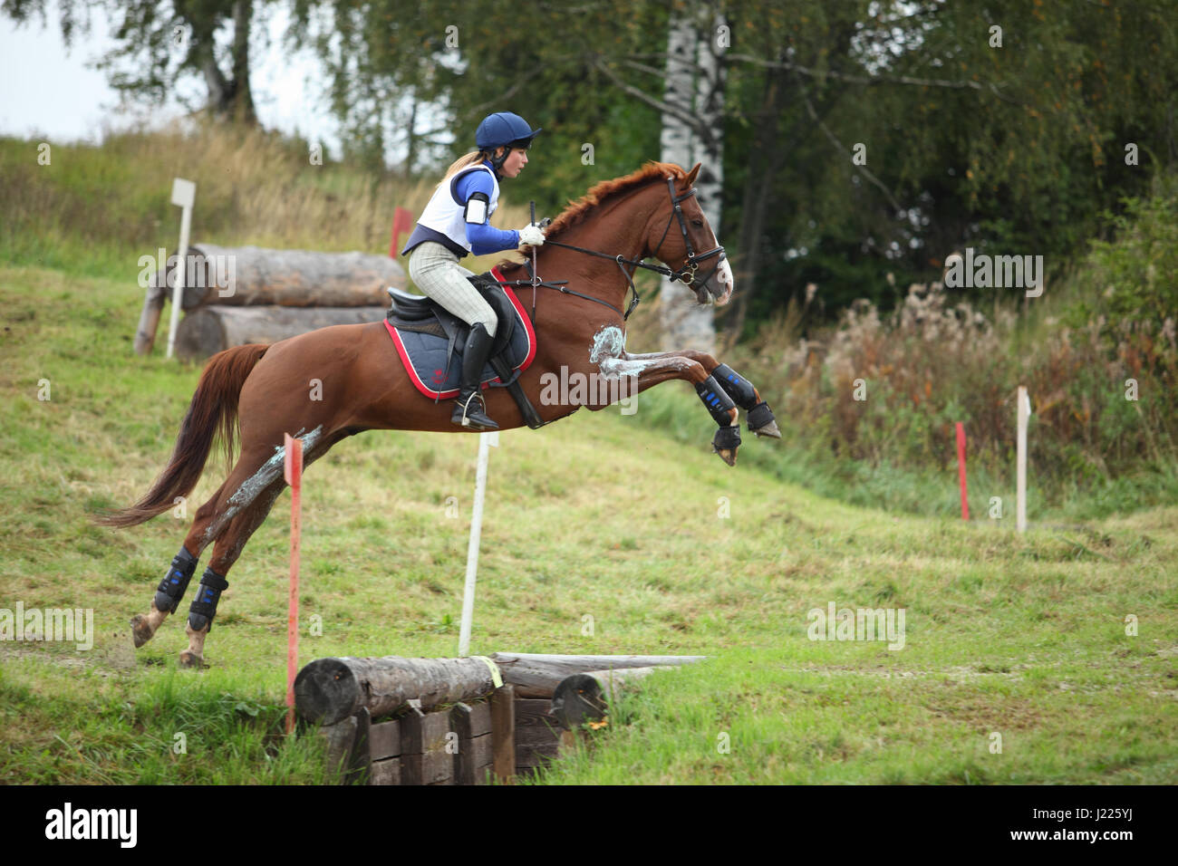 Three day event rider taking part in the cross country Phase Stock ...