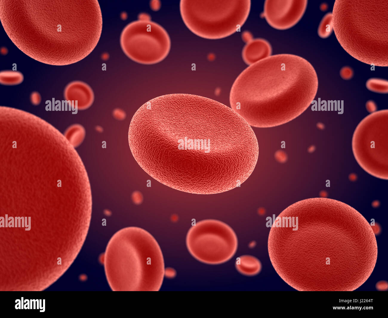 Erythrocytes hi-res stock photography and images - Alamy