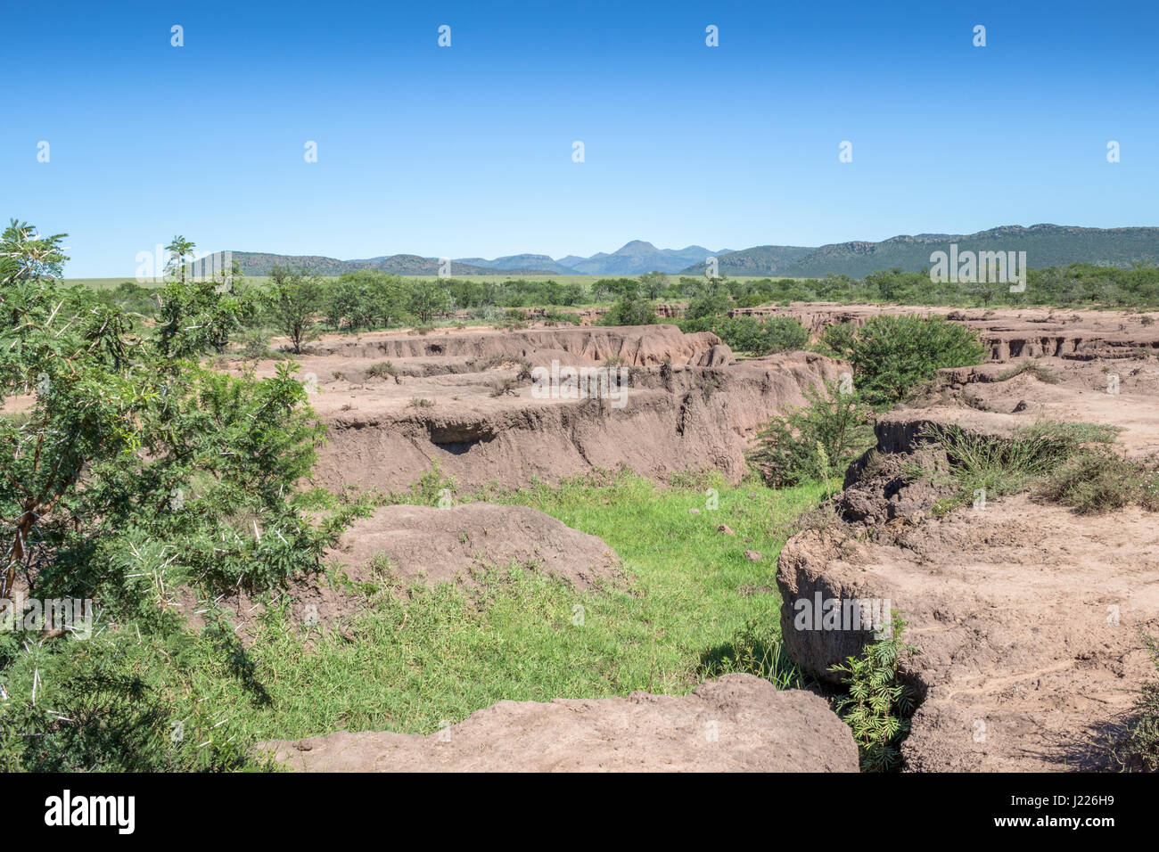 Soil Erosion Deforestation Major Causes For Land Degradation