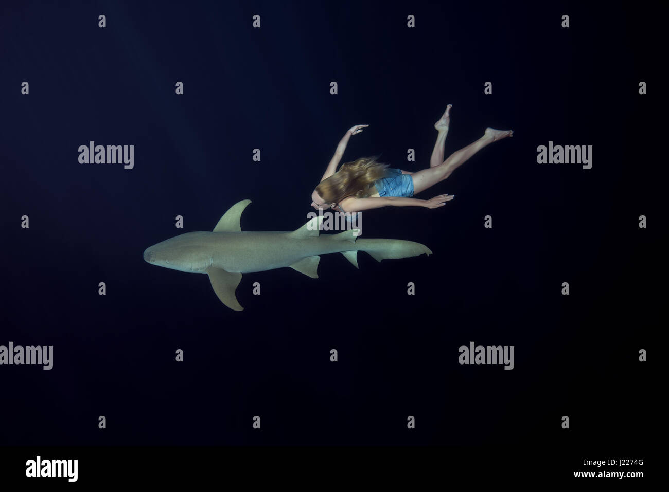 Spitting Shark High Resolution Stock Photography and Images - Alamy