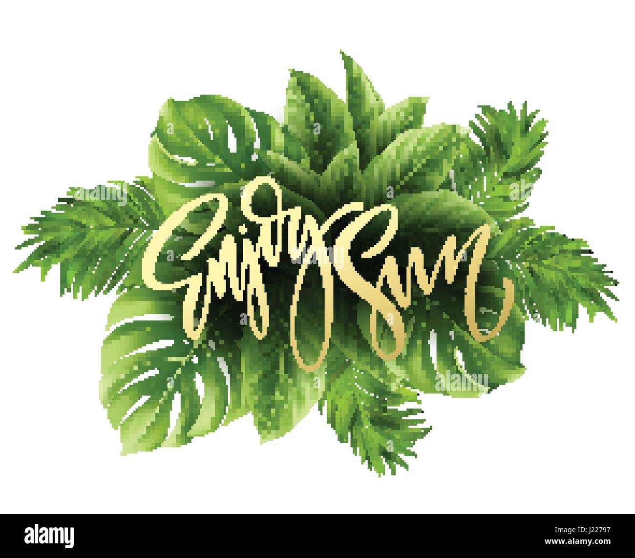 Summer poster with tropical palm leaf and handwriting lettering. Vector ...
