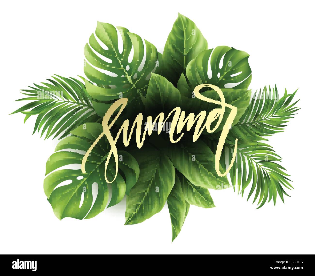 Summer poster with tropical palm leaf and handwriting lettering. Vector ...