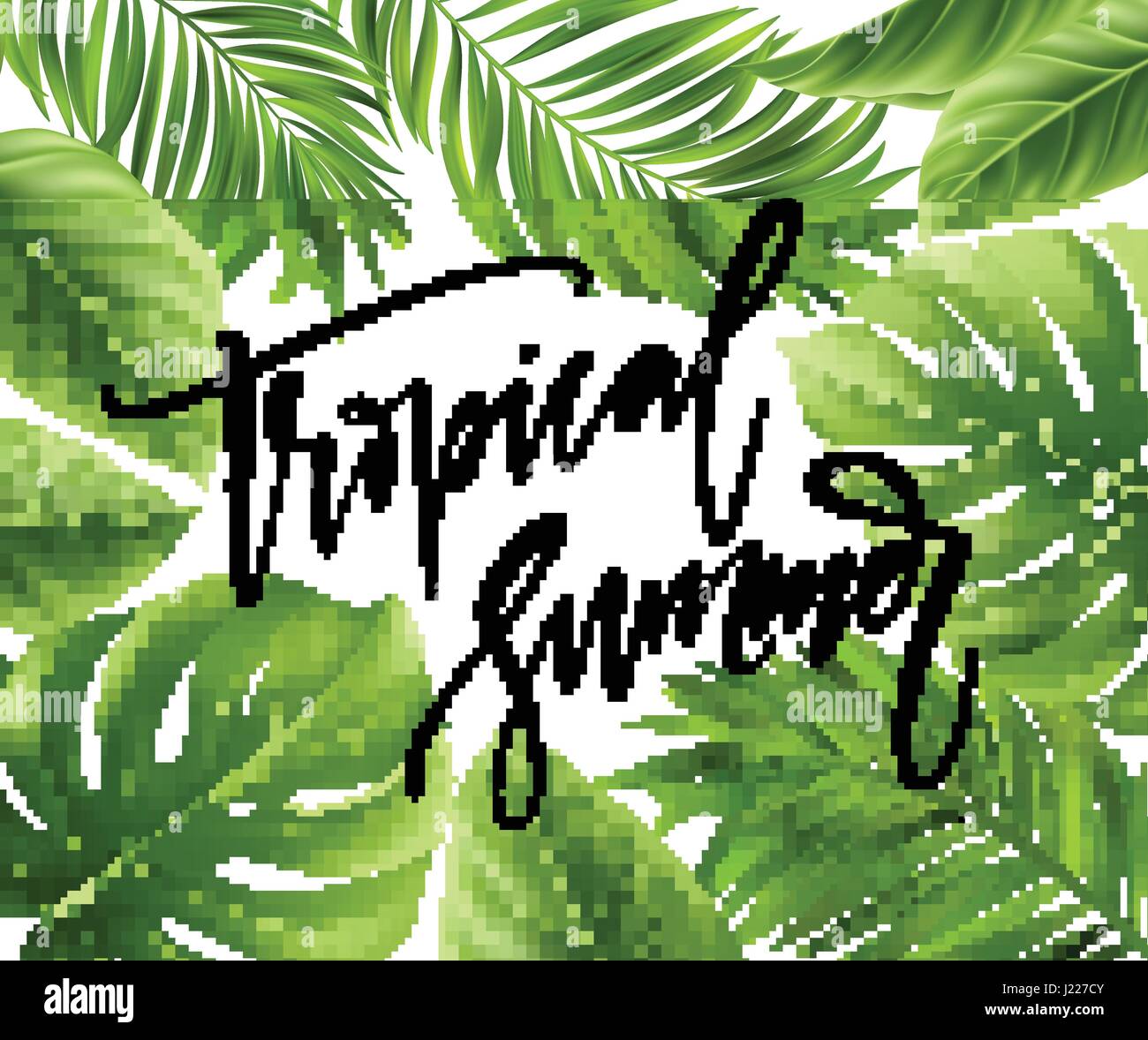 Summer poster with tropical palm leaf and handwriting lettering. Vector ...