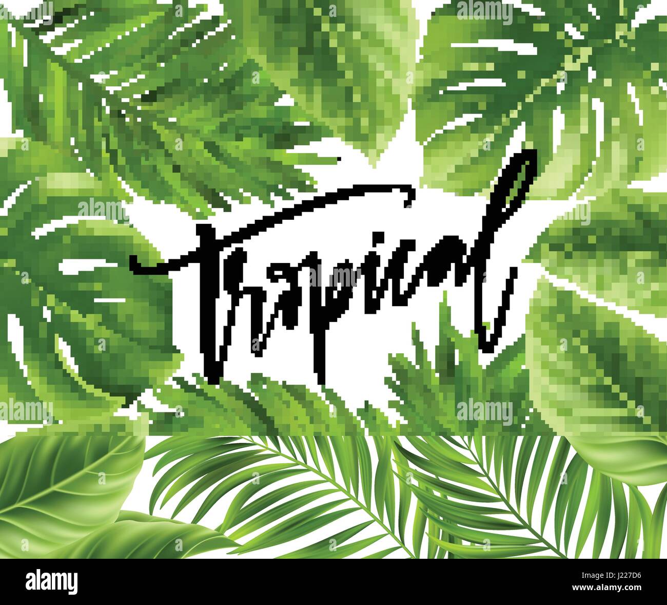 Summer poster with tropical palm leaf and handwriting lettering. Vector ...