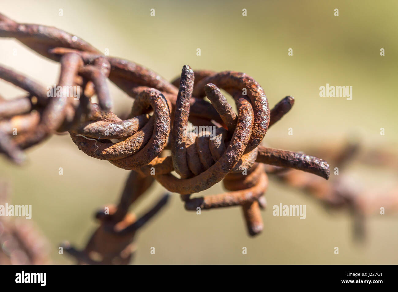 Simple barbwire fence hi-res stock photography and images - Alamy