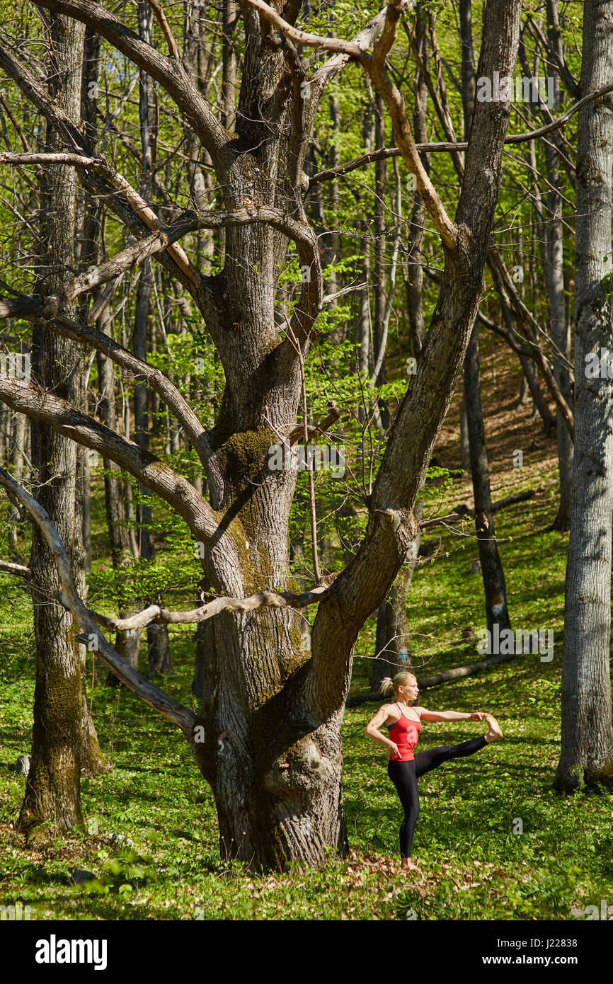 Young woman doing yoga exercises in a forest of chestnut and oak trees ...
