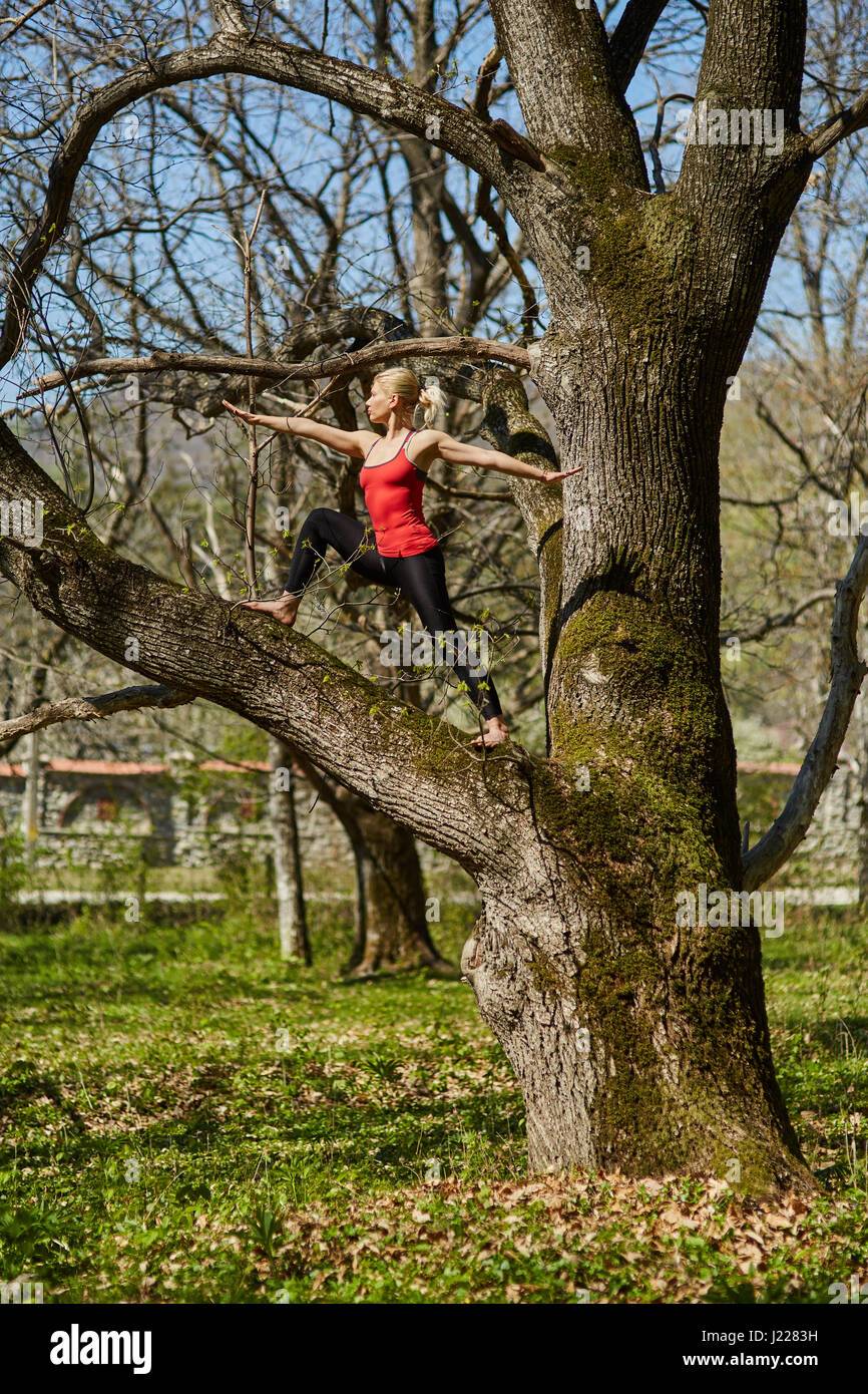 Young woman doing yoga exercises in a forest of chestnut and oak trees ...