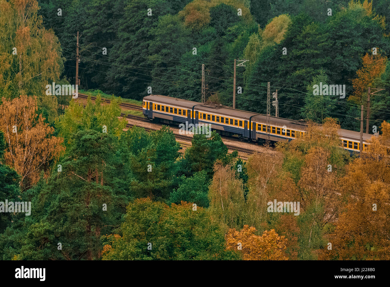 Passenger electric train moving through the forest in Riga Stock Photo ...