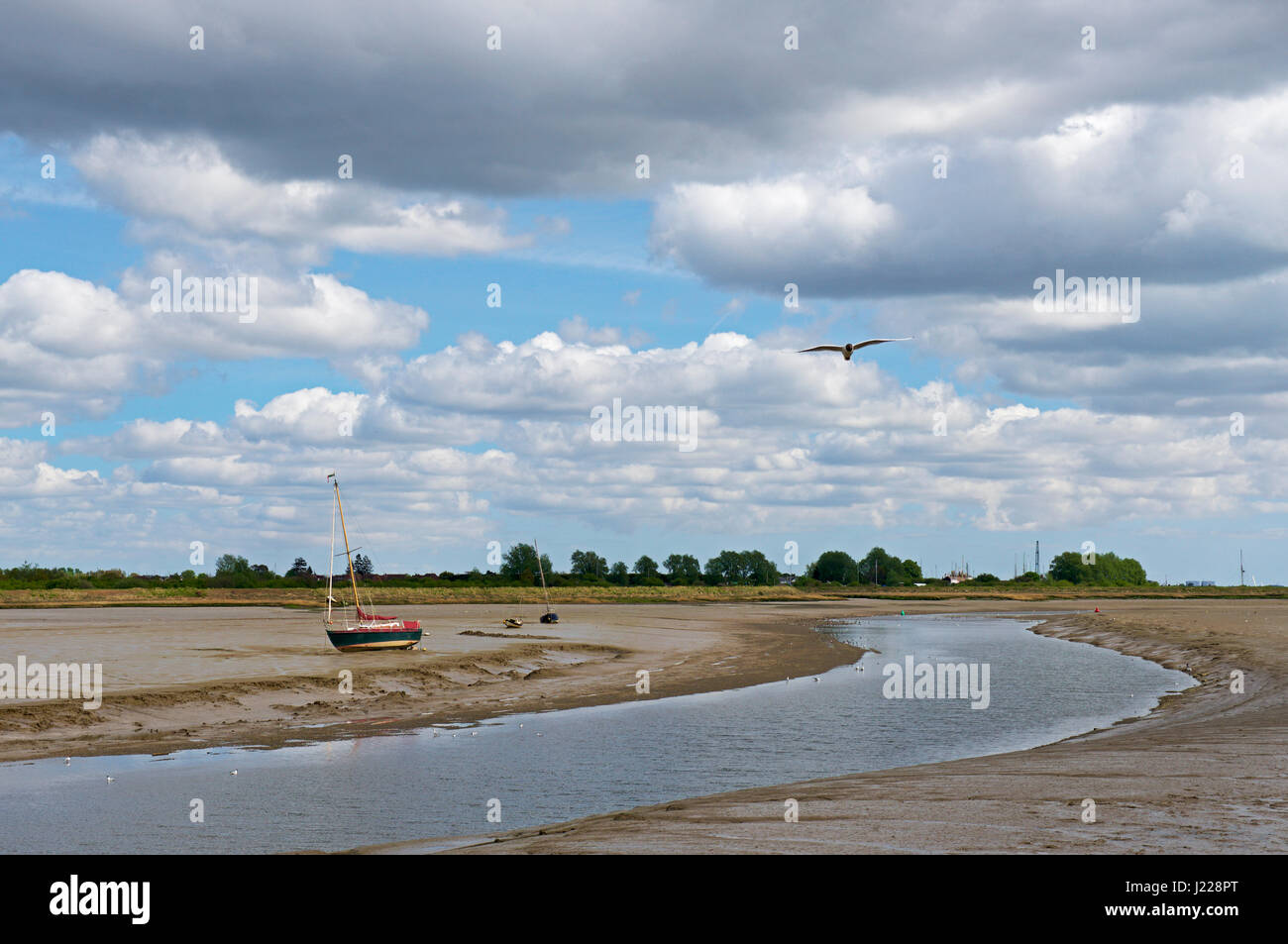 Tidal river hi-res stock photography and images - Alamy