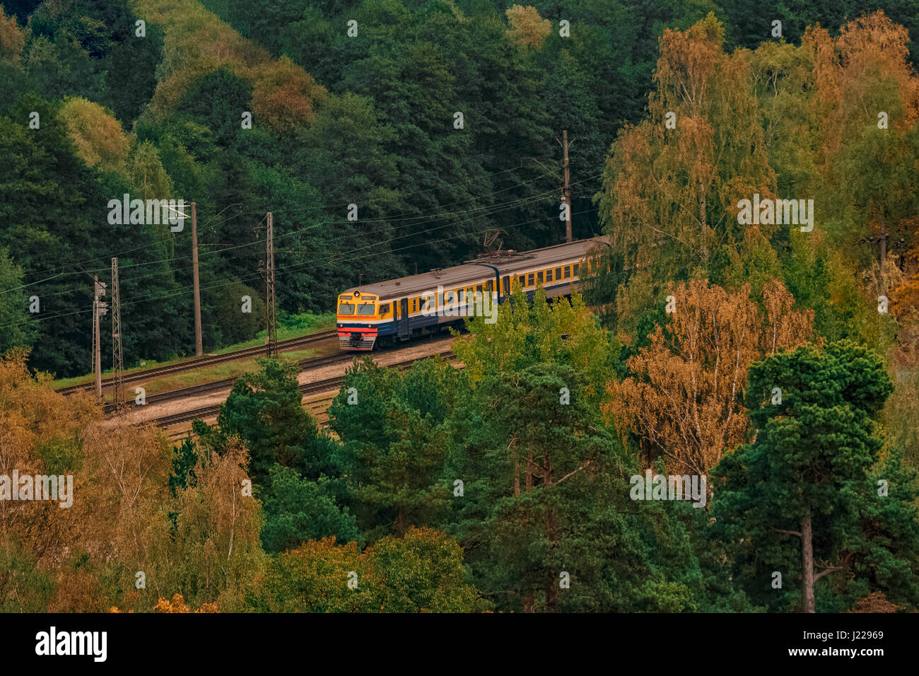 Passenger electric train moving through the forest in Riga Stock Photo ...