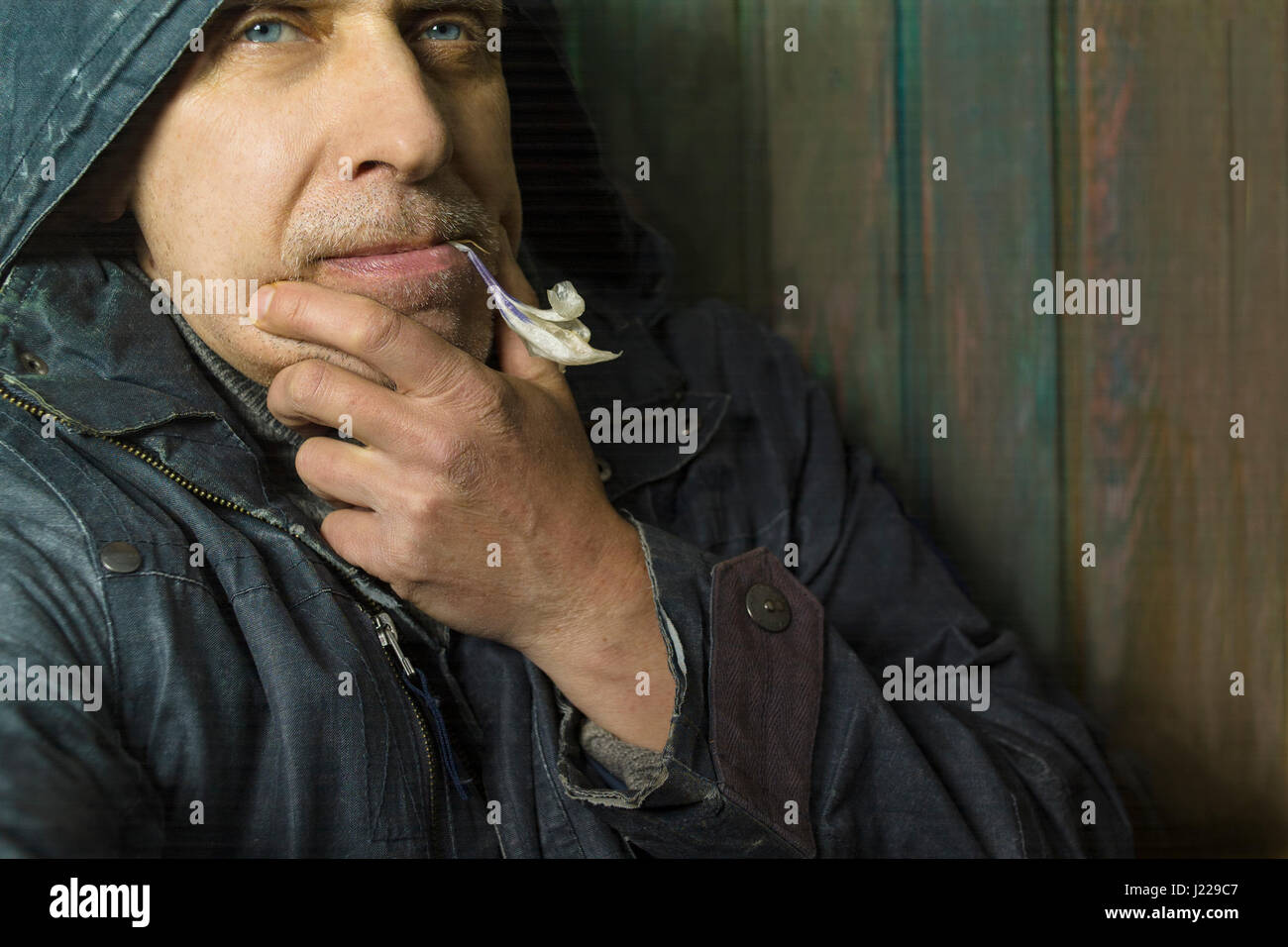Romantic looking man holding a young daffodil in the mouth, studio ...
