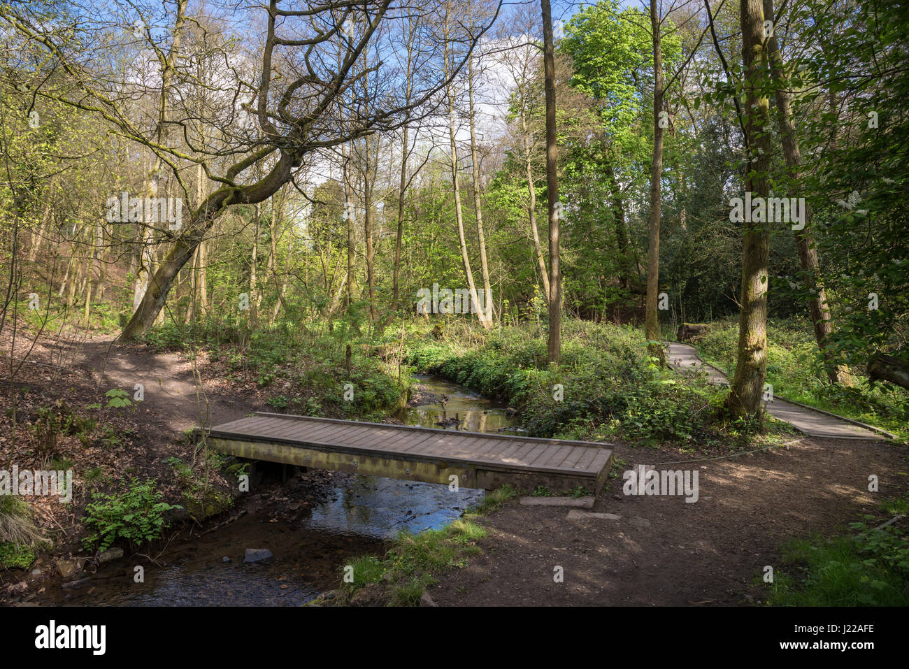 A spring day at Eastwood nature reserve, Stalybridge, Greater ...