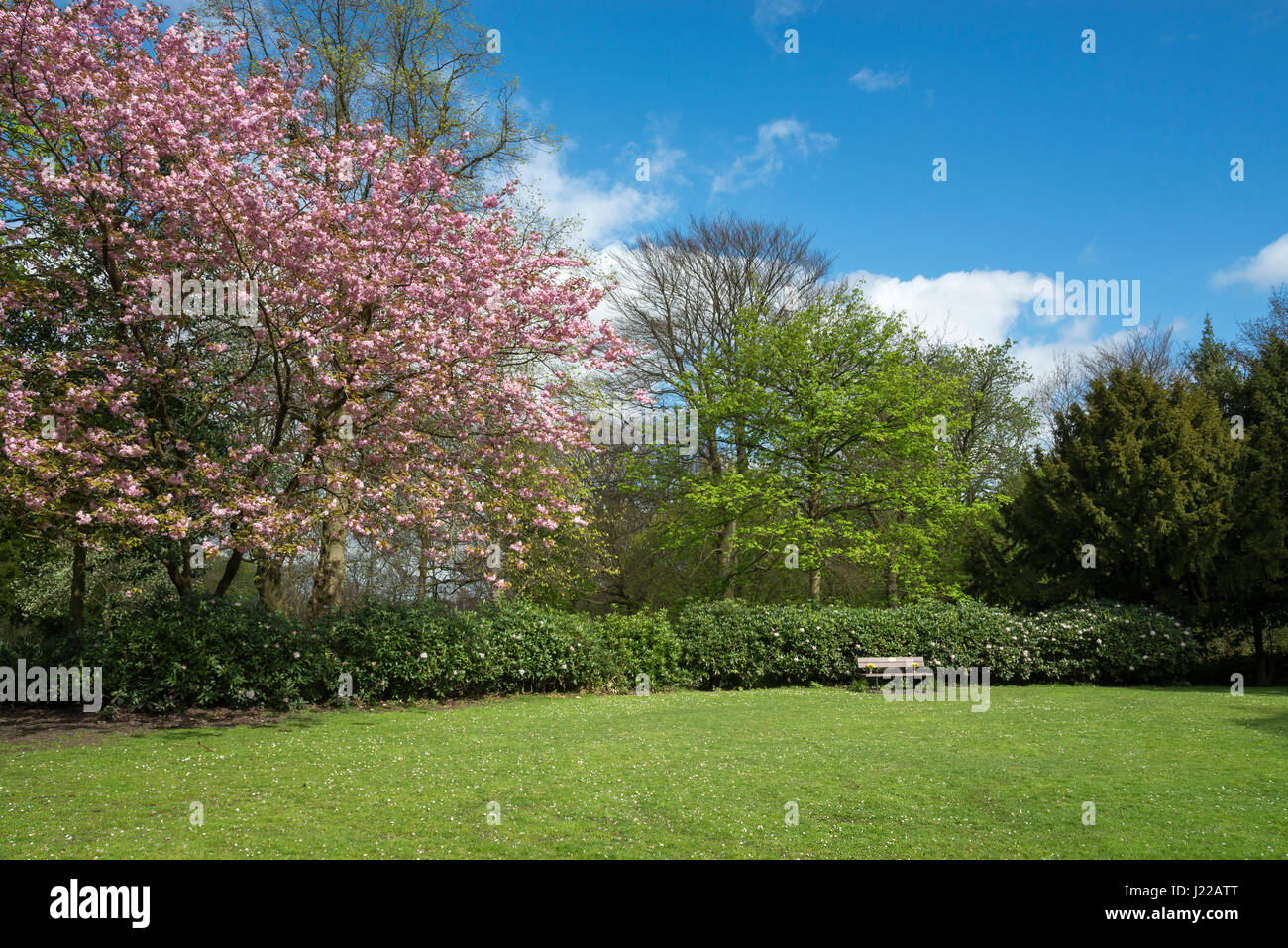 Spring day at Cheetham park, Stalybridge, Greater Manchester, England ...