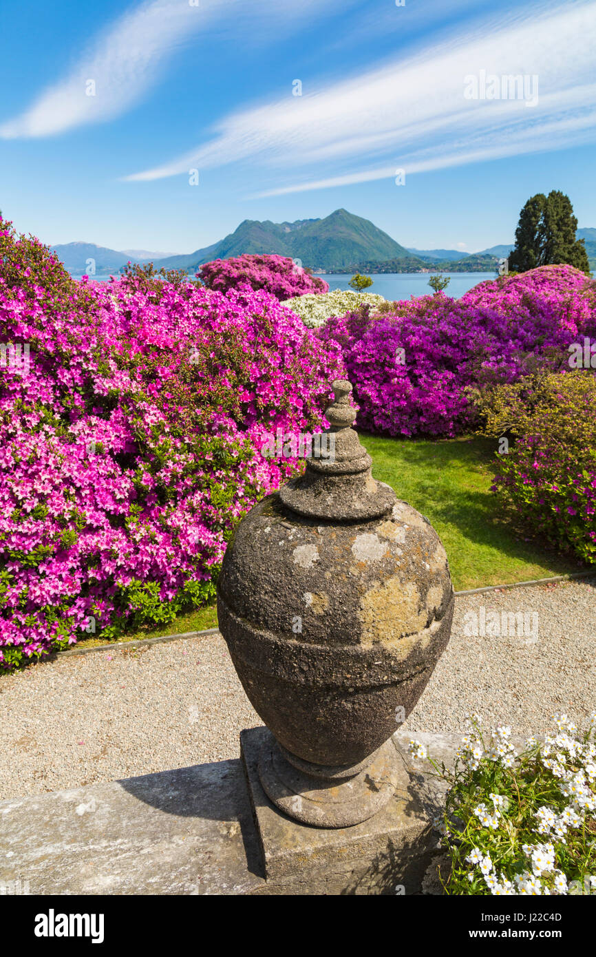 Colourful azaleas with spectacular views at Isola Bella gardens at ...