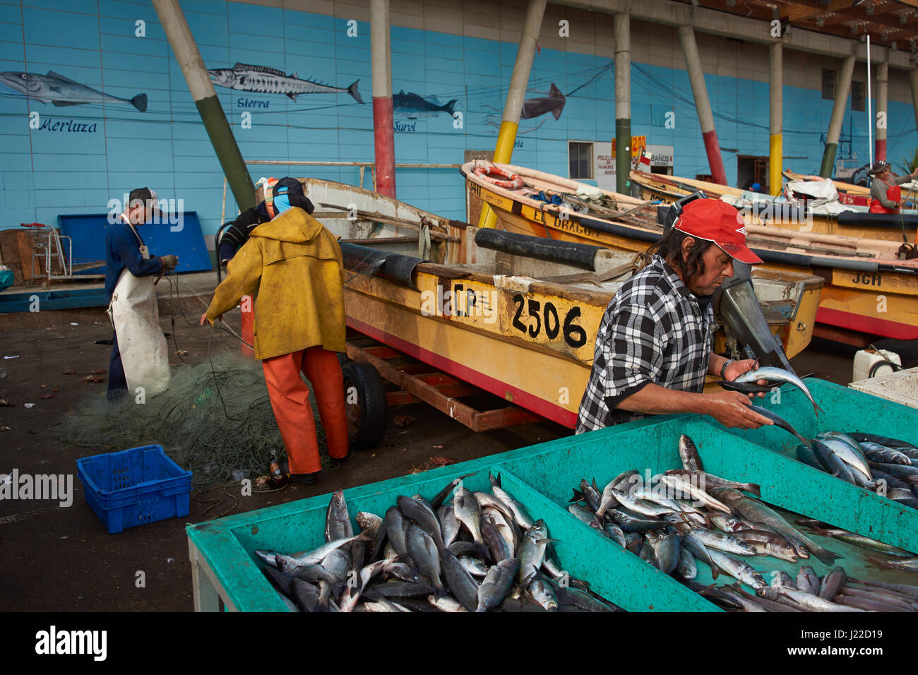 Fishermen sorting fish and cleaning and tidying fishing nets in the ...