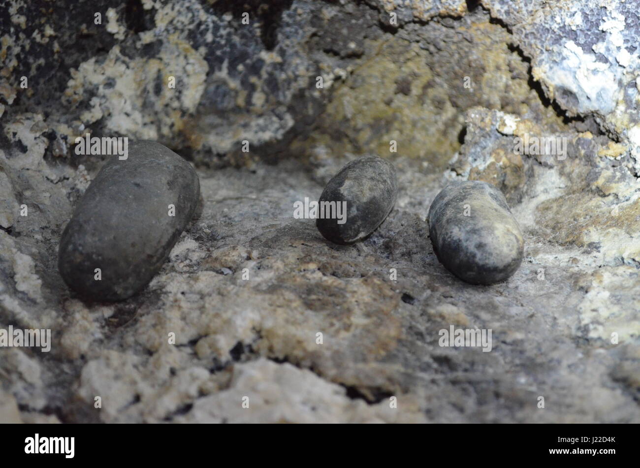 Archaeological artifacts including waterworn stones used for cooking ...