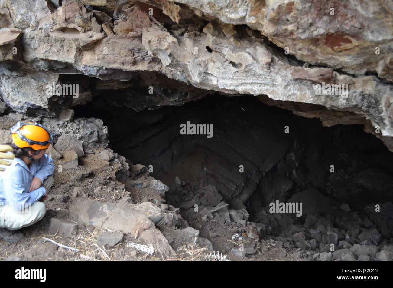 Ana, a member of USAG-PTA's Cultural Resources team, is at Bobcat Trail ...