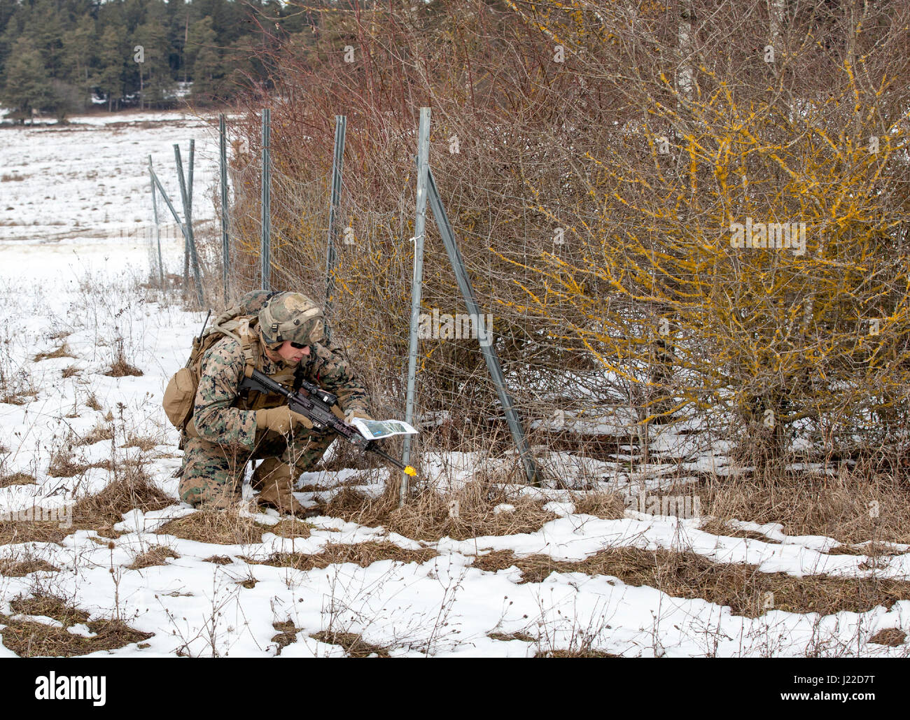 U.S. Marine Corps Air Naval Gunfire Liaison Company Detachment and ...