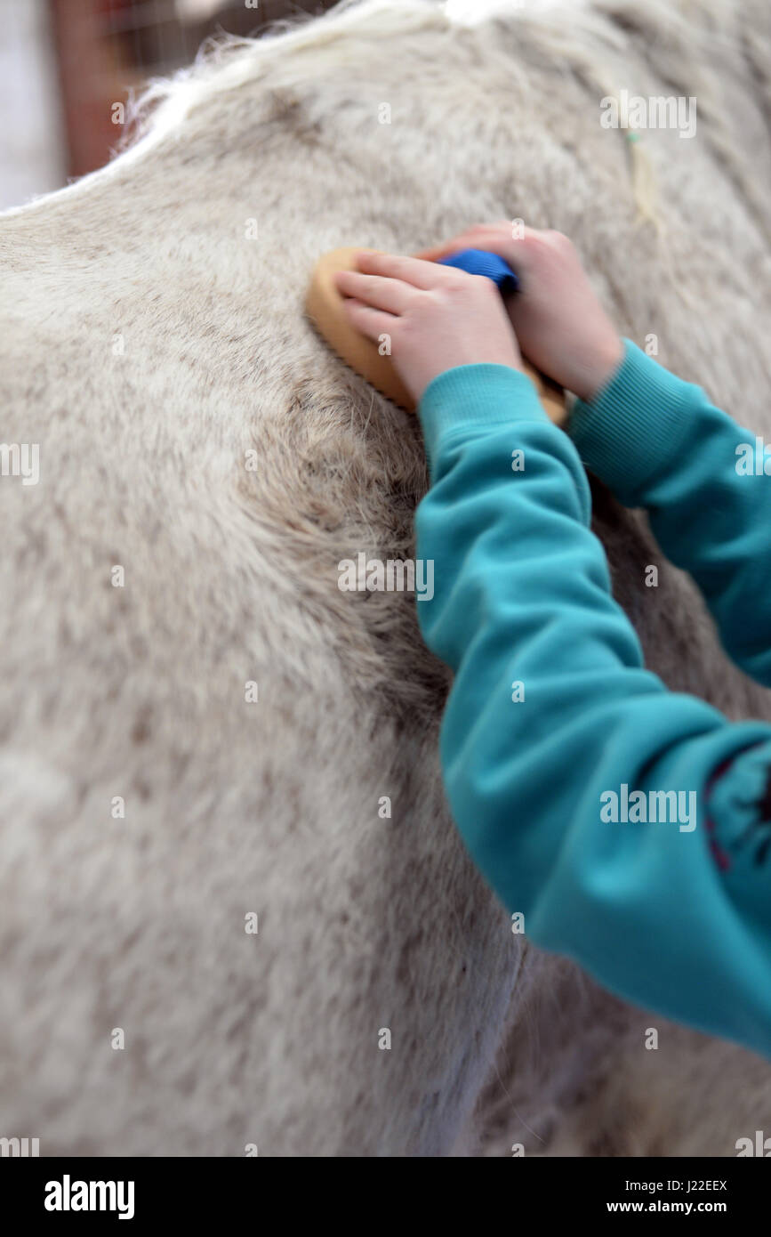 Alyssa Connor, daughter of 91st Missile Wing Commander Col. Colin ...