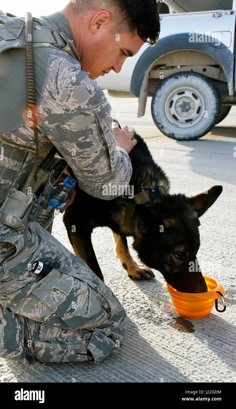U.S. Air Force Staff Sgt. Dustin Braddy, a military working dog handler ...
