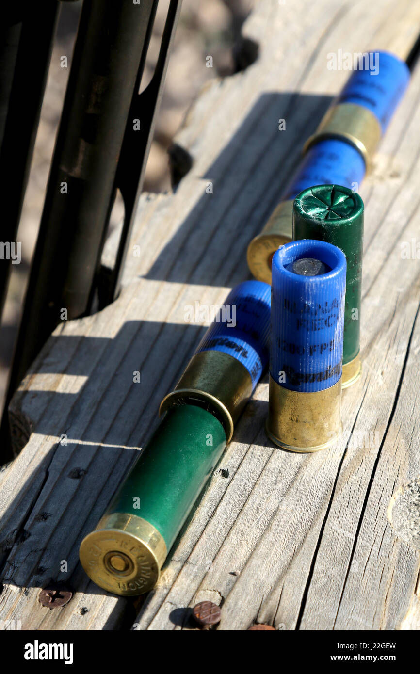 AMU's Action Shooting Team competed in the 2017 U.S. Practical Shooting ...