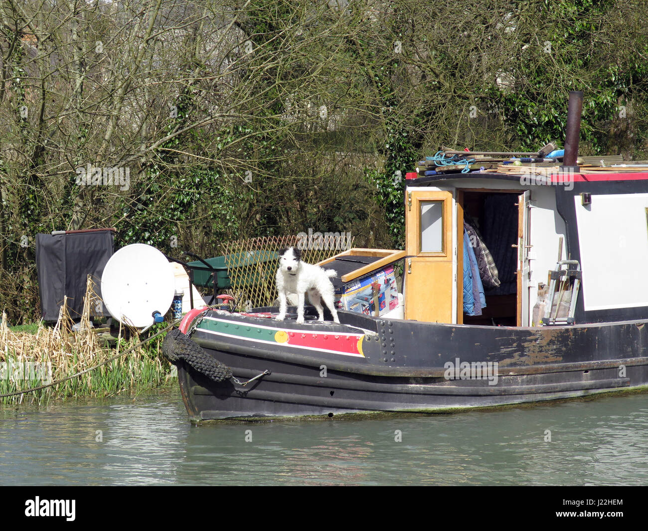 Narrowboat dog hi-res stock photography and images - Alamy
