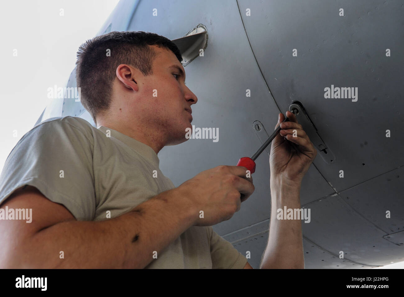 Vigilant ace hi-res stock photography and images - Alamy