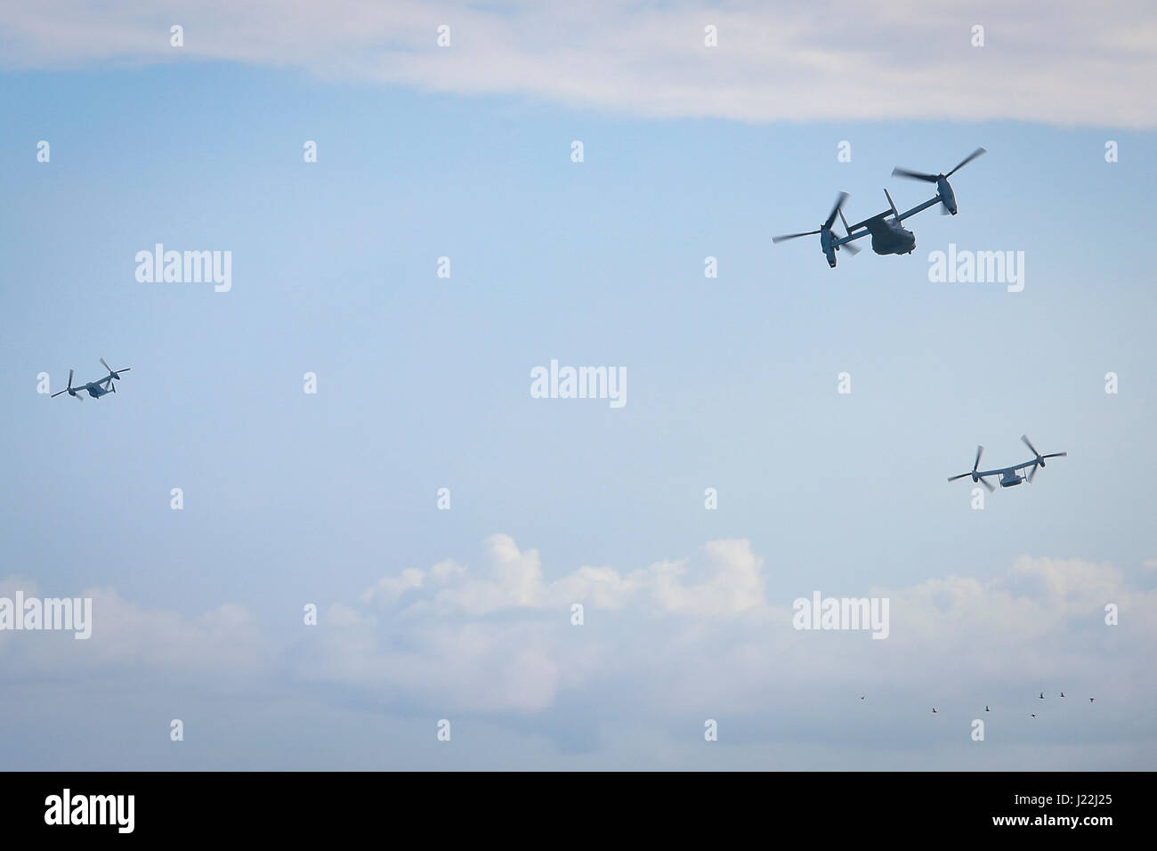 MV-22 Osprey aircraft with Marine Medium Tiltrotor Squadron (VMM) 268, 1st Marine Aircraft Wing ...