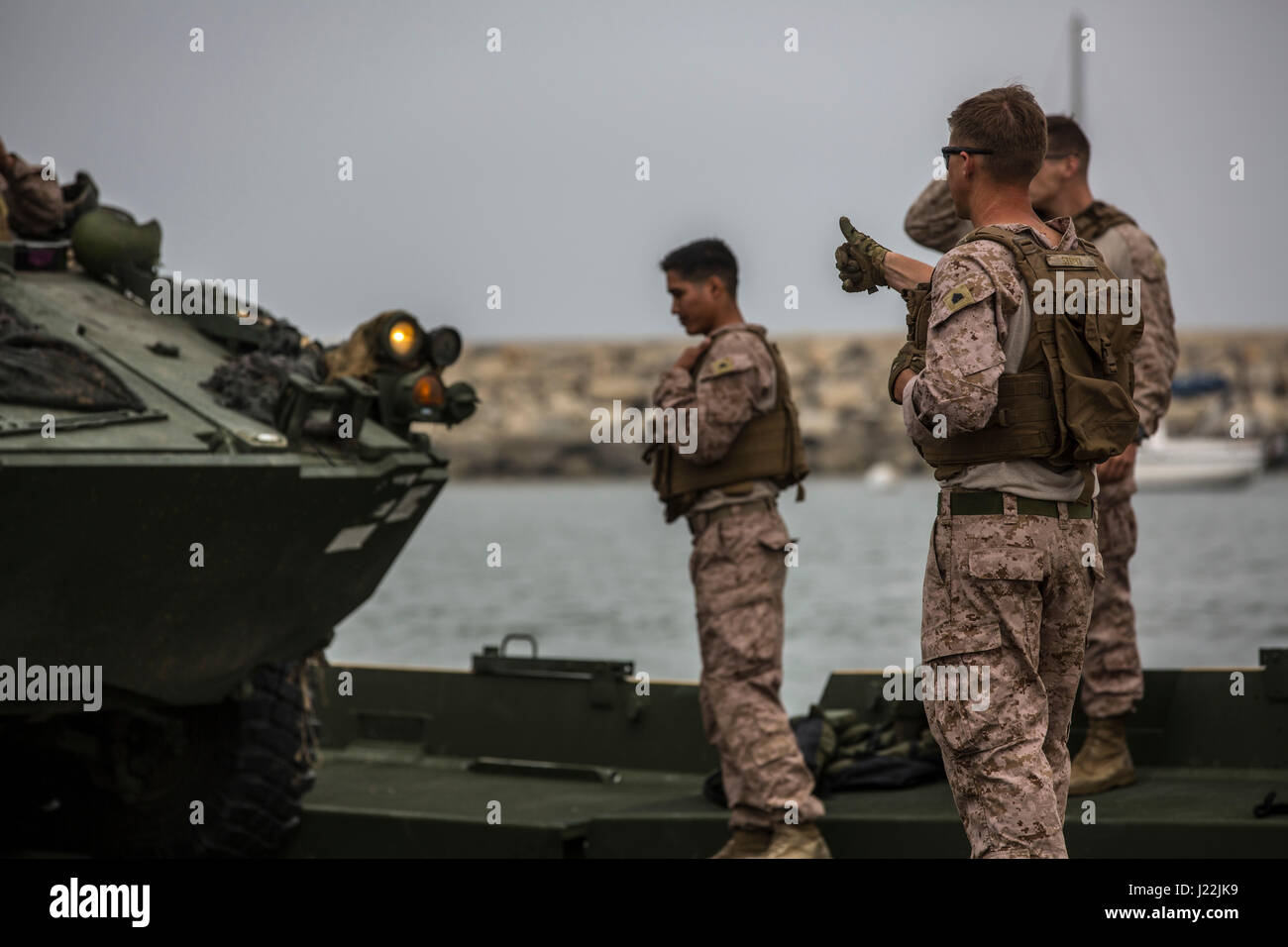 Marines with D Company, 1st Light Armored Reconnaissance Battalion, 1st Marine Division, direct ...