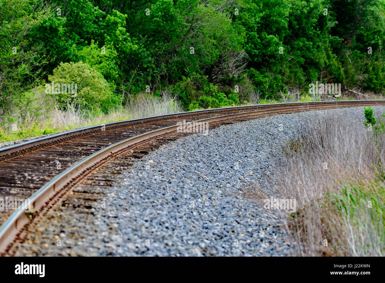 Railroad tracks going around curve to the right, trees and brush in the ...
