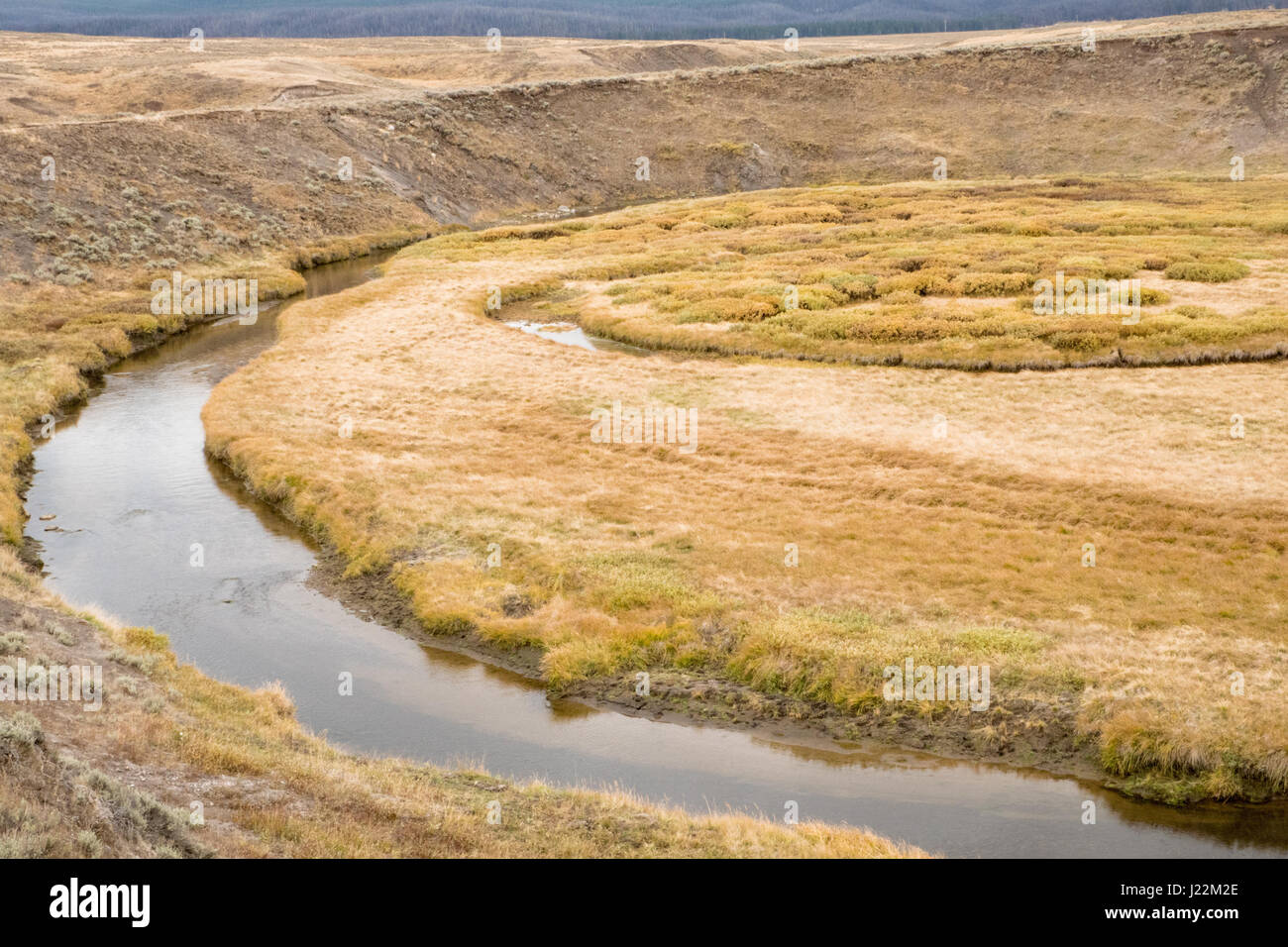 Yellowstone River in Hayden Valley in Autumn in Yellowstone National ...