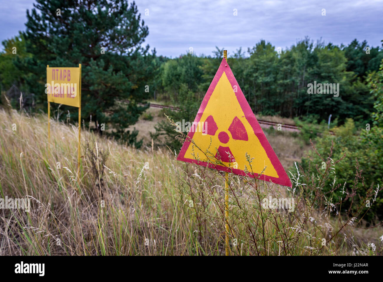 (red forest) (chernobyl disaster) High Resolution Stock Photography and ...