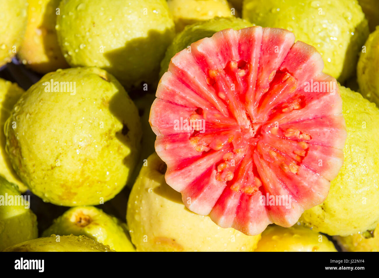 Guava fruit cut in half hi-res stock photography and images - Alamy