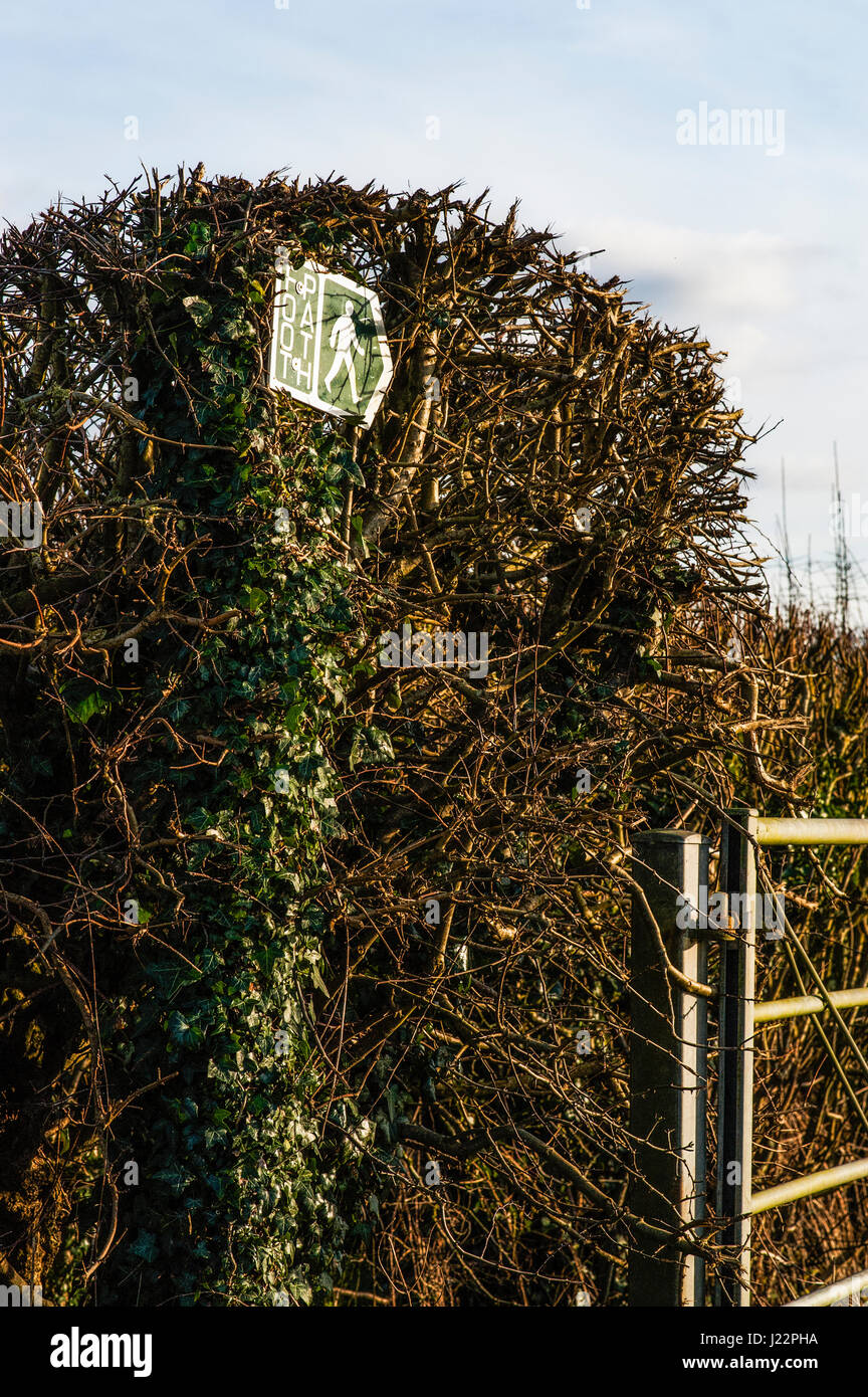 Sign by hedge hi-res stock photography and images - Alamy
