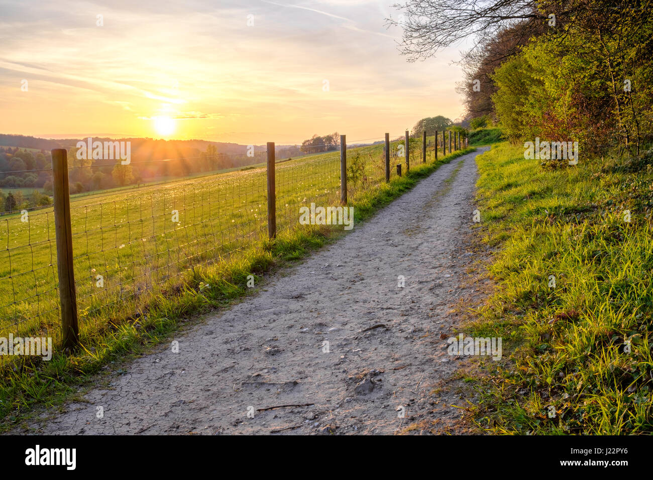 Sunset along countryside path in The Chilterns, U.K Stock Photo - Alamy
